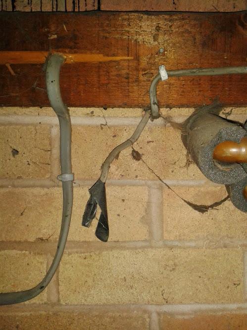 Live cable end found in garage - what to do with it? | DIYnot Forums