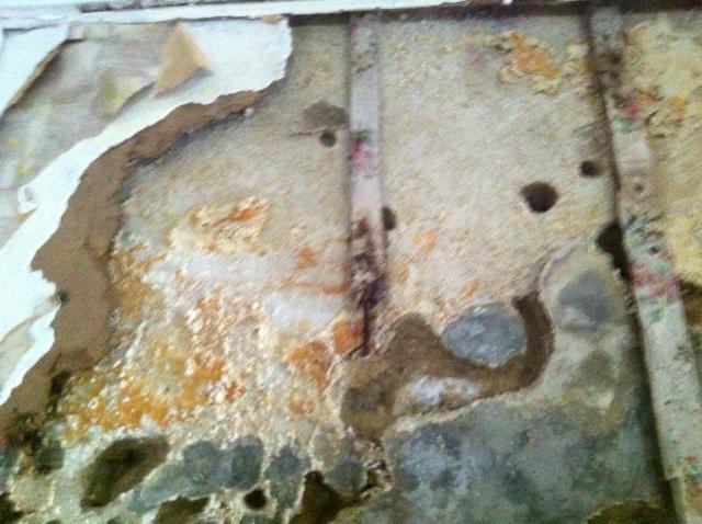 Damp rot advice please | DIYnot Forums
