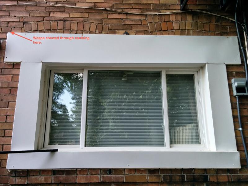 Exterior Window Removal