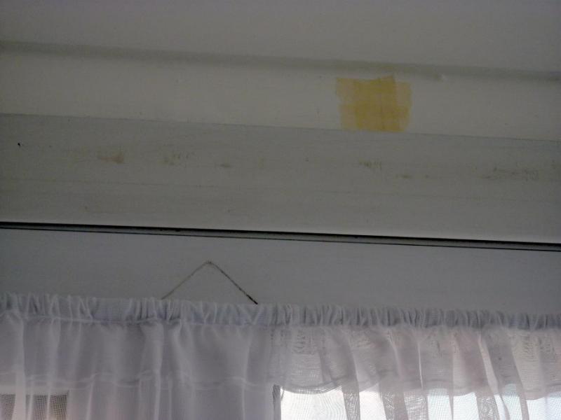 PVC panels above bay windows leaking moss-like substance | DIYnot Forums