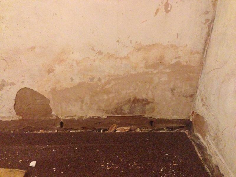 Damp advice | DIYnot Forums