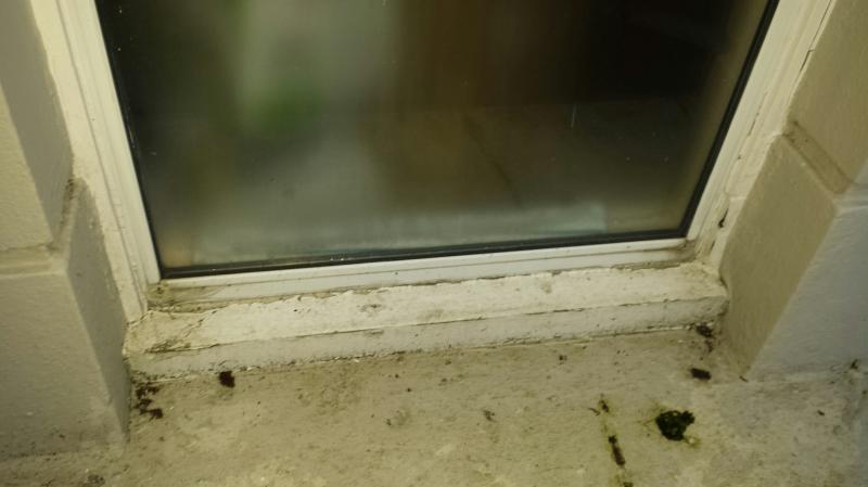 Windows Sills + Frame | DIYnot Forums