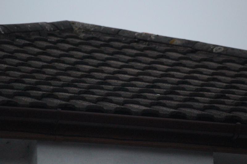Identify these roof tiles | DIYnot Forums