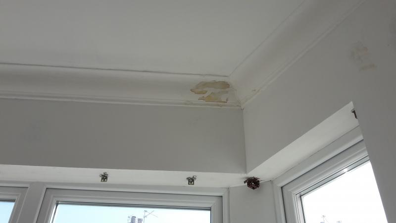 Damaged Paint on Coving | DIYnot Forums