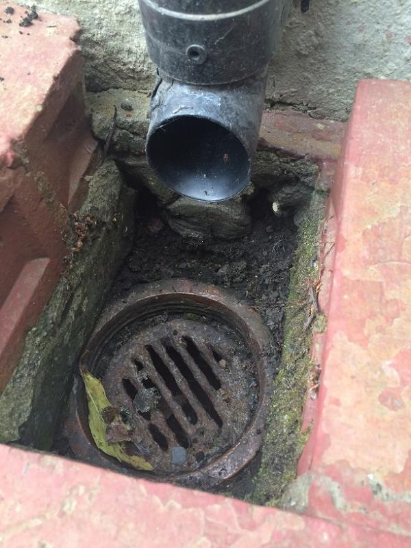 Drain Repair | DIYnot Forums