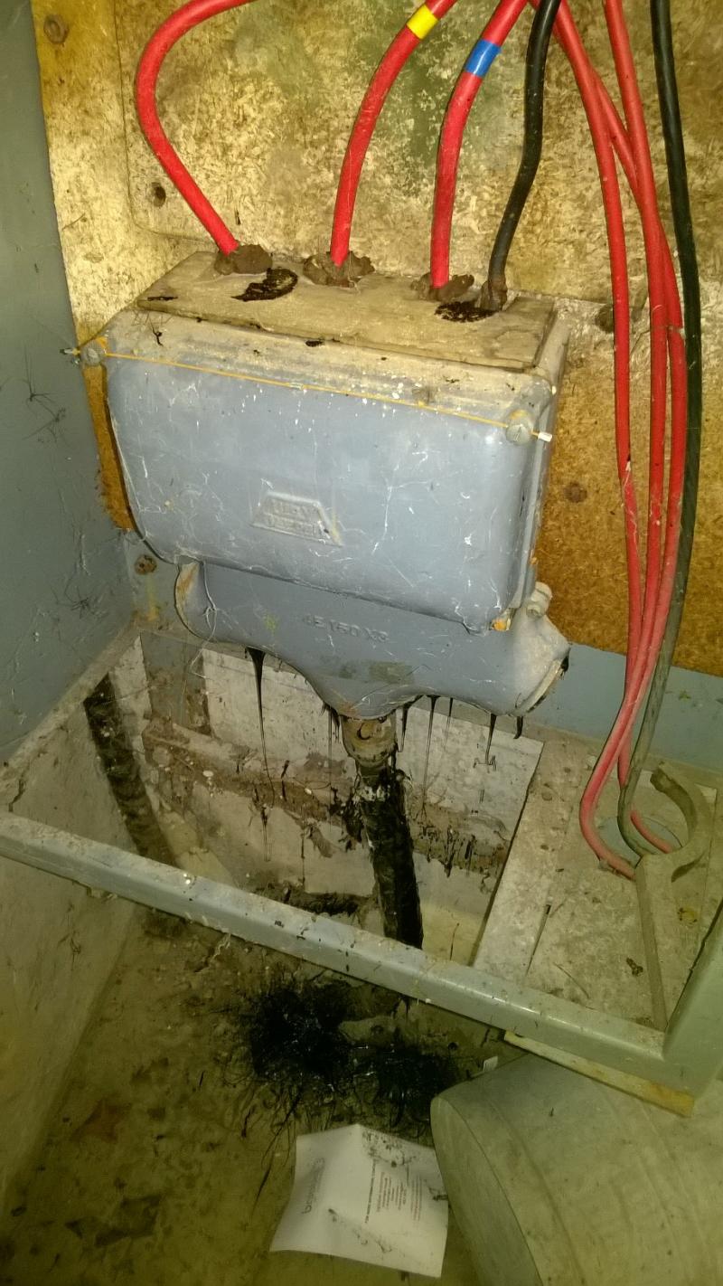 DNO Cutout | DIYnot Forums