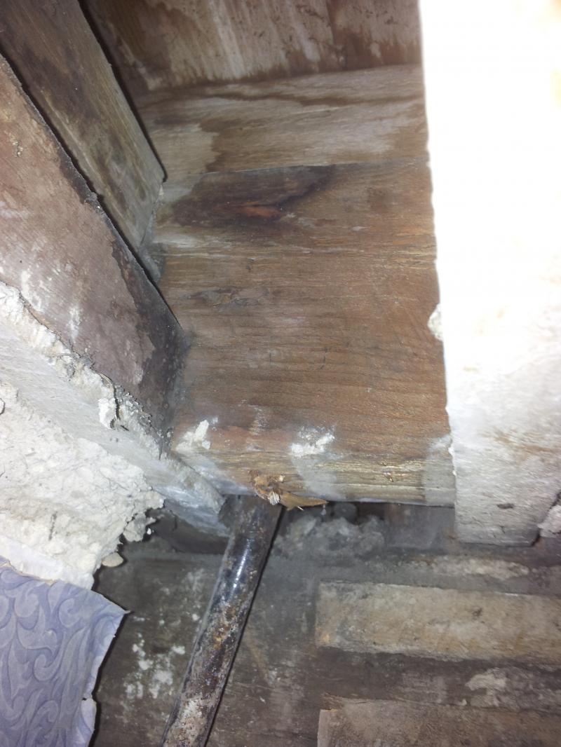 Wall plate/joists | DIYnot Forums