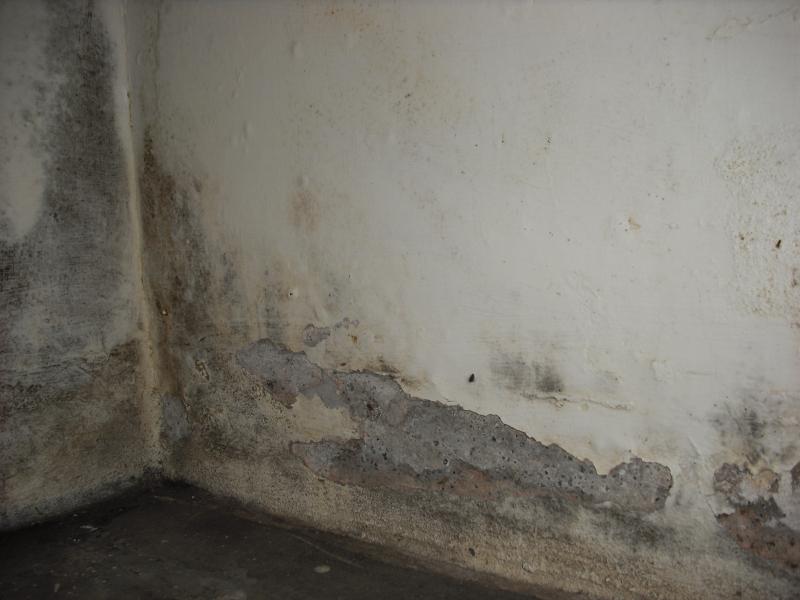 Damp Treatment Before Plastering | DIYnot Forums