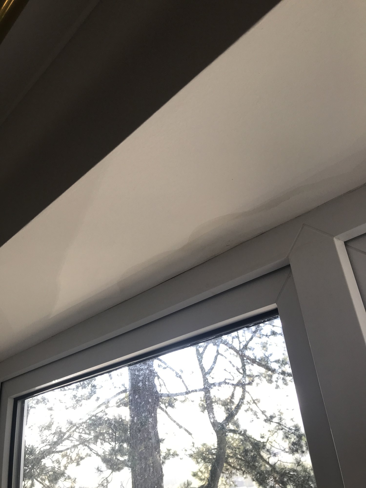 Leak above window | DIYnot Forums